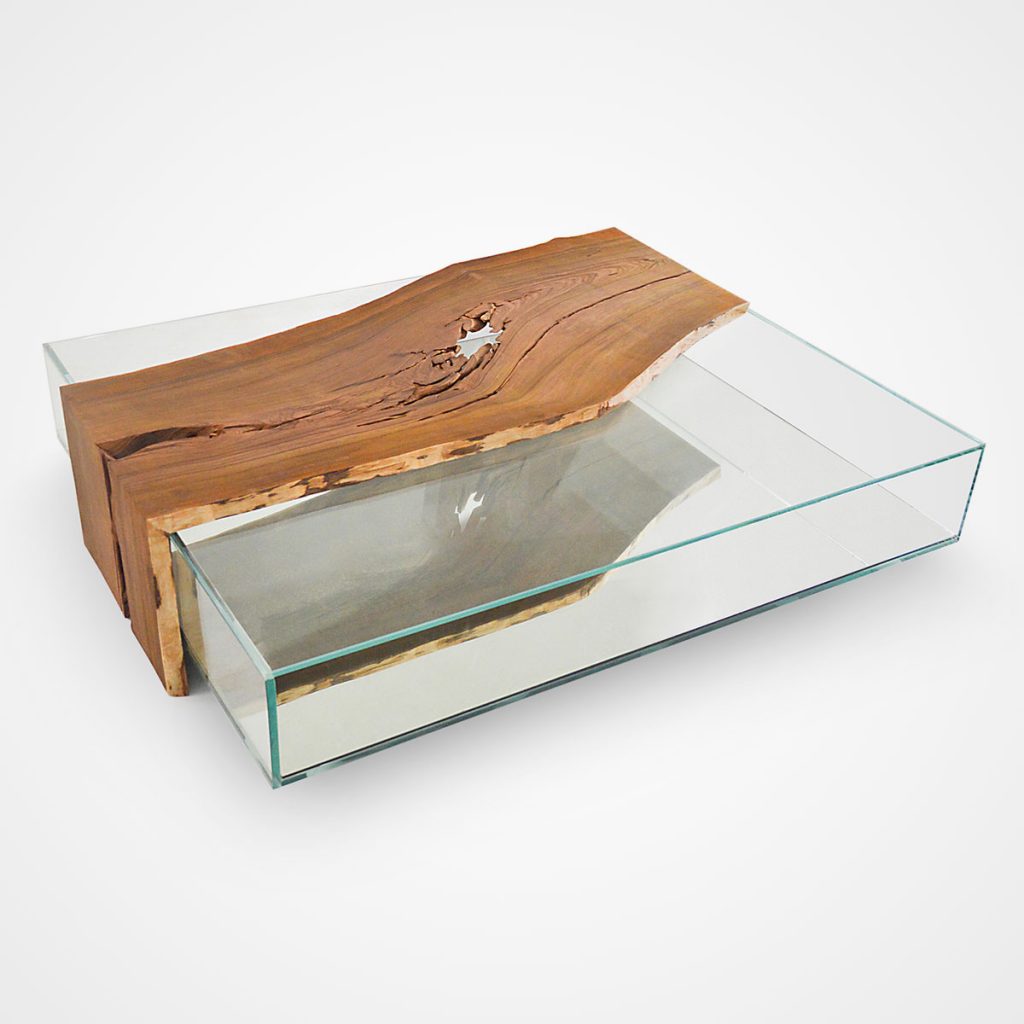 Cocobolo Glass Box Coffee Table | Rotsen Furniture