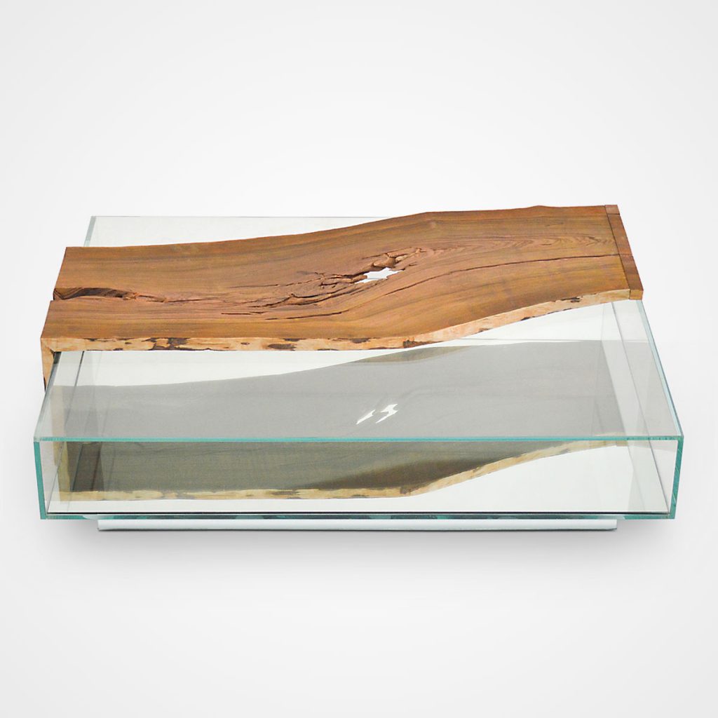 Cocobolo Glass Box Coffee Table | Rotsen Furniture