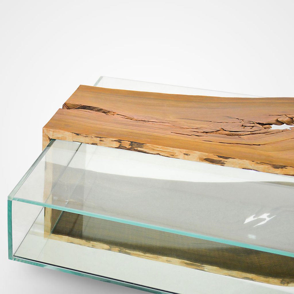 Cocobolo Glass Box Coffee Table | Rotsen Furniture